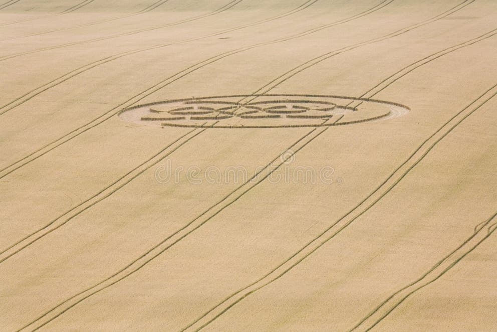 Crop circle in field stock image. Image of sign, cereologist - 7705045