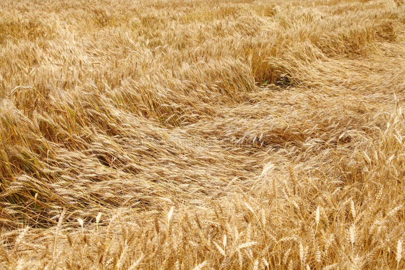 Gail Mature Stock Photos - Free & Royalty-Free Stock Photos from Dreamstime