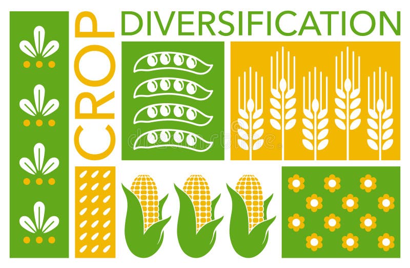 Crop Diversification, Changing the Cropping System Stock Vector ...