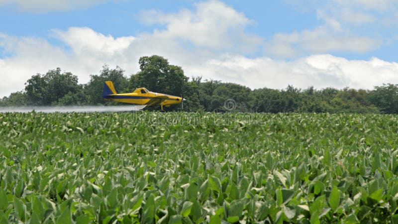 Crop Dusting stock image. Image of pesticide, crop, spraying - 20737281