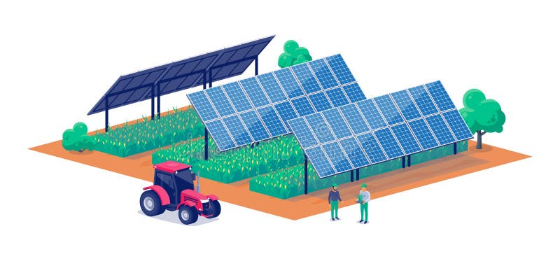 Crop Farmland Using Agrivoltaics Tracker Solar Panel System Stock Image ...