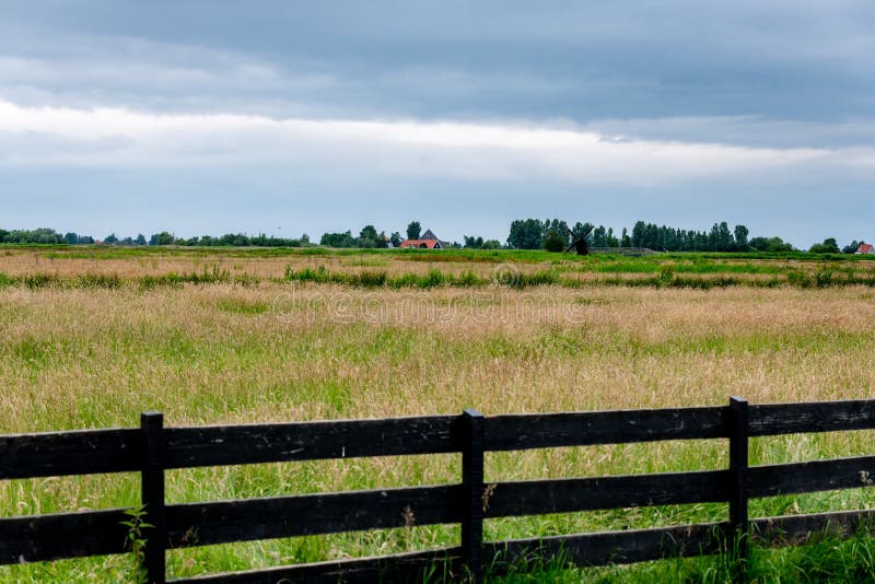 Crop Feald in the Netherlands with Fence in the Foreground Stock Image ...