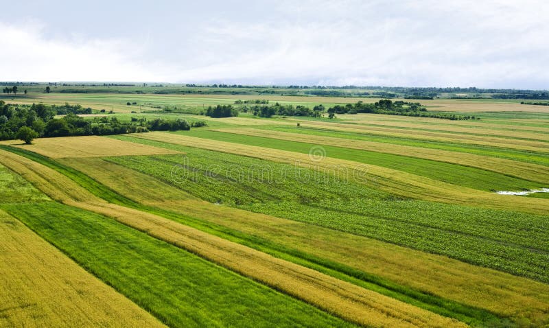 Crop field stock photo. Image of peaceful, agriculture - 9757570