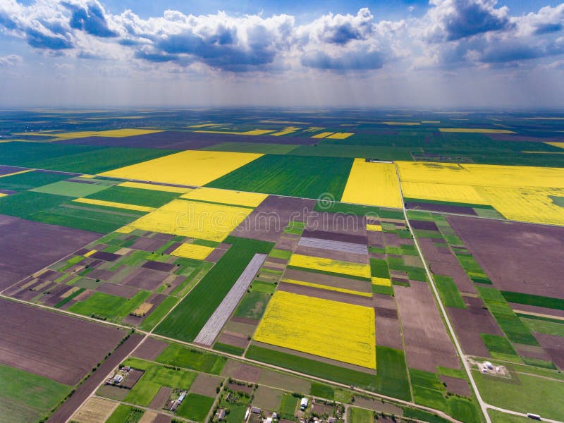 Crop Fields Aerial View from Above Stock Photo - Image of summer ...