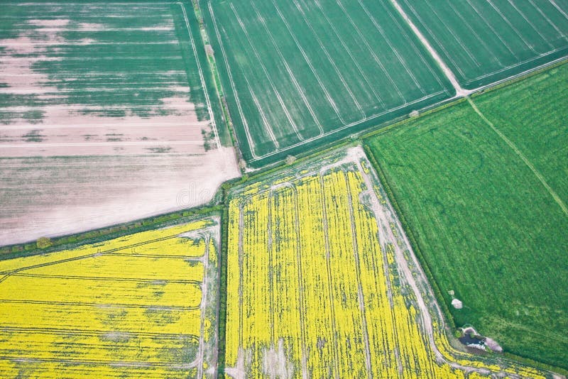 Crop Fields stock image. Image of golden, harvesting, grass - 4011605