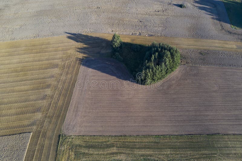 Crop Fields and Grove in Nature Park, Aerial View Stock Image - Image ...