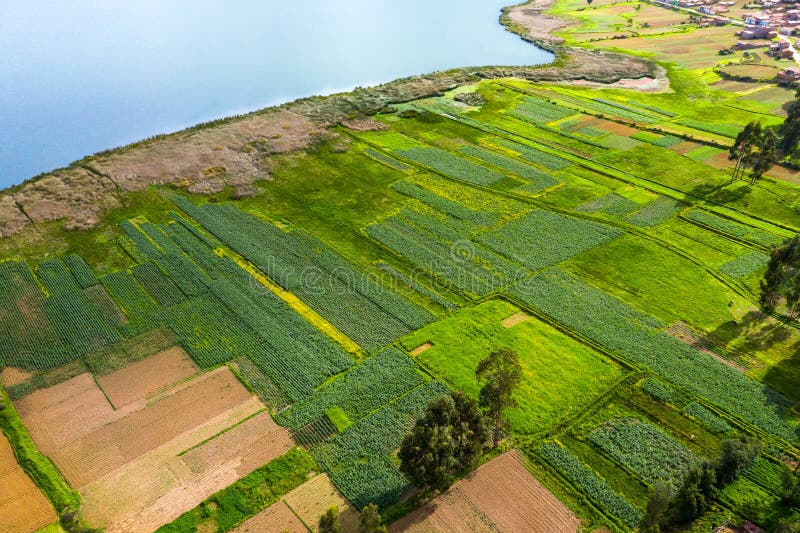 Crop Fields in the Peruvian Andes Paca Lake in Junin Stock Photo ...