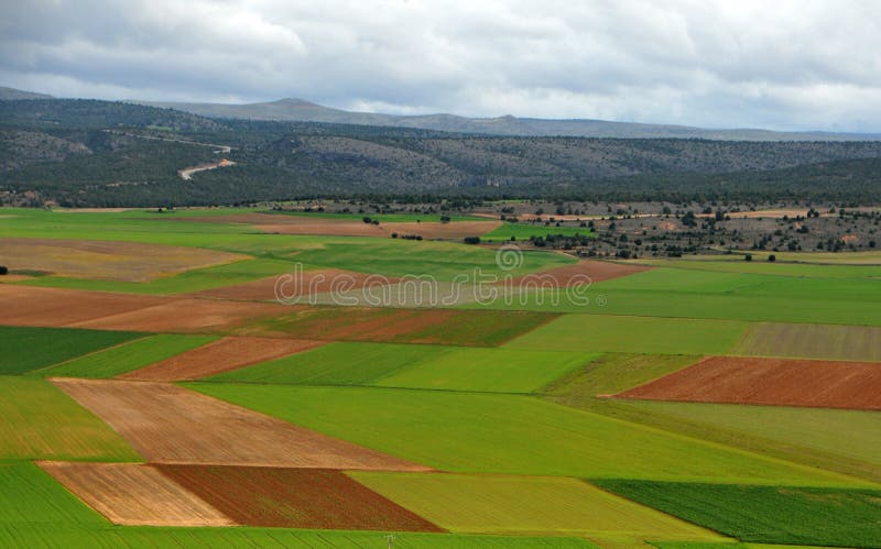 Crop fields in spring stock image. Image of biology - 324164715