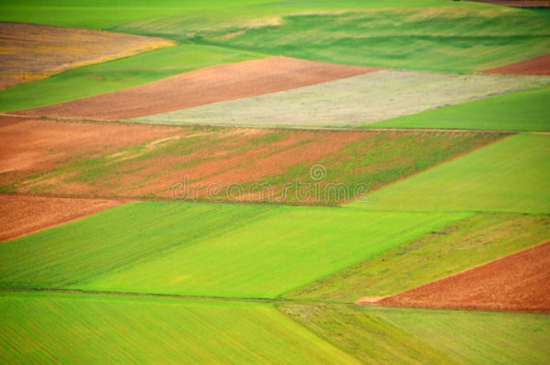 Crop fields in spring stock photo. Image of biology - 324164732