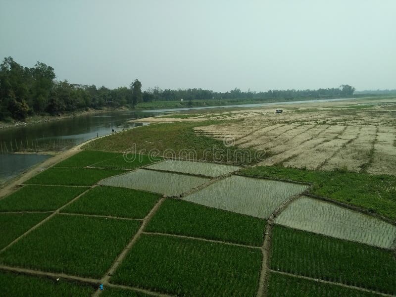 Natural crop stock photo. Image of river, banks, land - 113948686