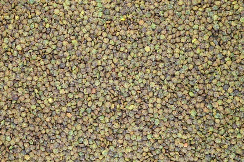Crop of Many Dry Green Lentil Grains on Flat Surface As Background ...