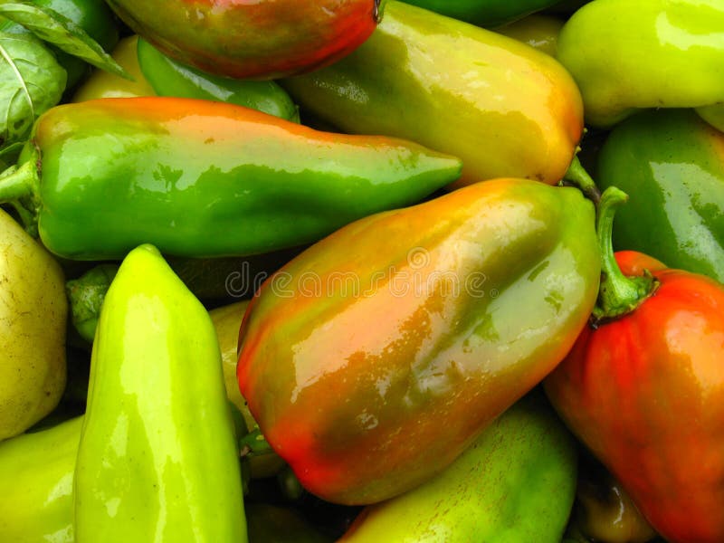 Crop of Multicolour Bulgarian Pepper Stock Photo - Image of food, juicy ...