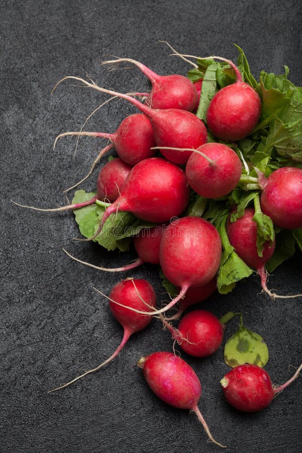 Crop Radish Lettuce, Agriculture, Red Bunch Stock Image - Image of ...