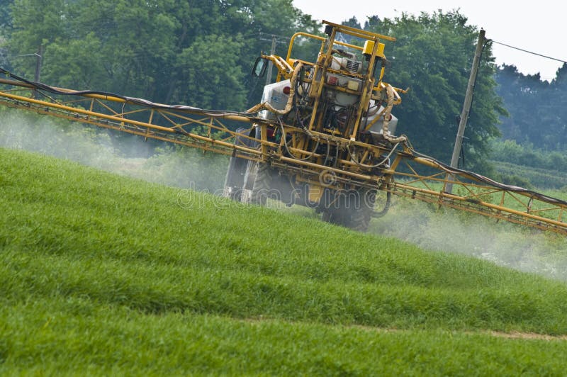 Woodland path stock image. Image of footpath, wayfare - 19377093
