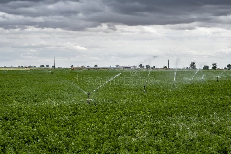 Crop Sprinklers on Cultivated Field Stock Photo - Image of countryside ...