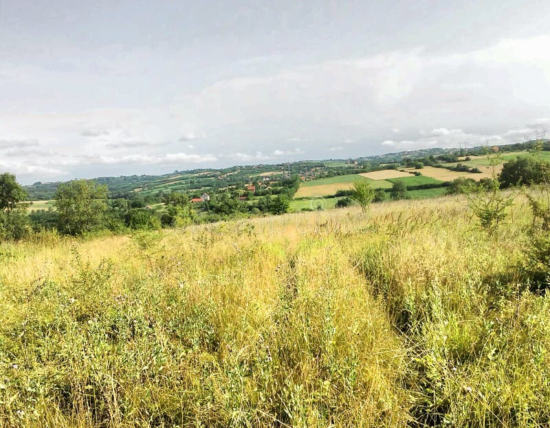 Cropland stock photo. Image of countryside, trees, crop - 95960800