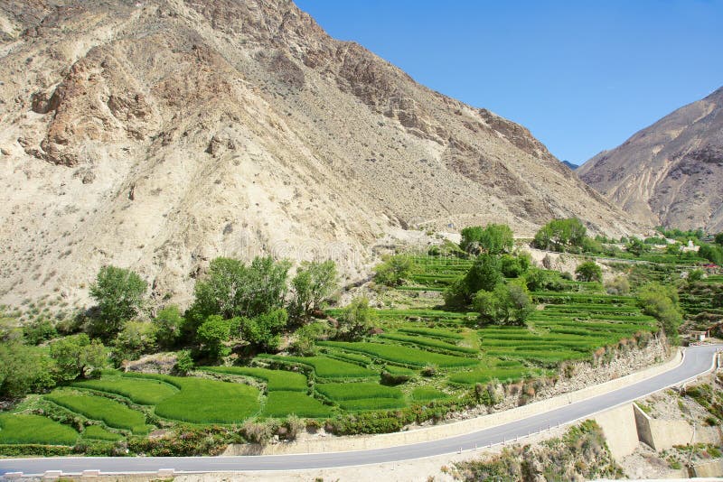 Cropland in mountain stock image. Image of scenery, cultivated - 32693895