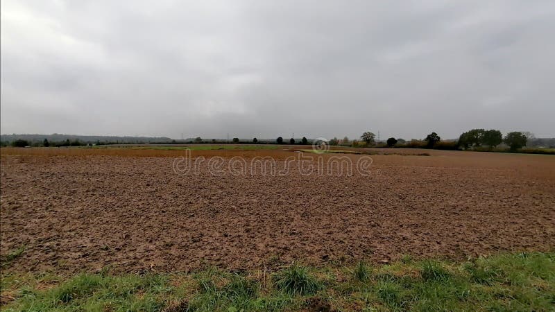 Cropland with sky stock image. Image of trees, grass - 162122713