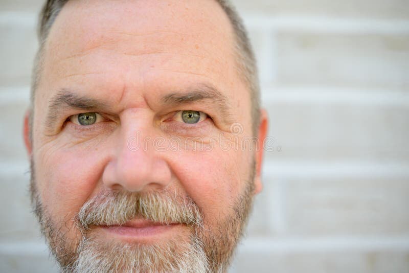 Cropped Head Portrait of Smiling Brunette Woman Stock Image - Image of ...