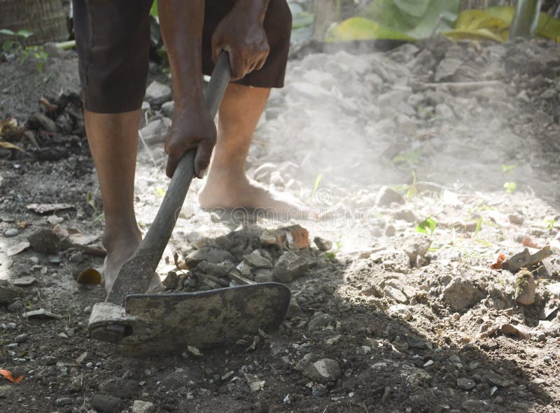 Cropped Image of Dustman Get Rid of Rocks and Leveling the Soil Using a ...