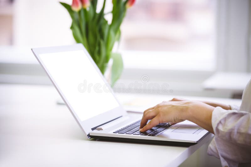 Cropped Image of Executive Typing on Laptop at Office Stock Photo ...