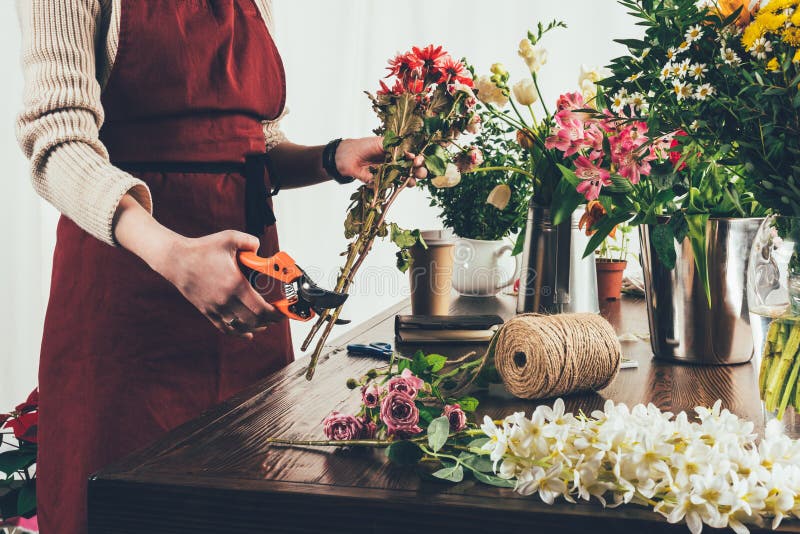 Cropped Image of Female Florist Cutting Stalks Stock Image - Image of ...