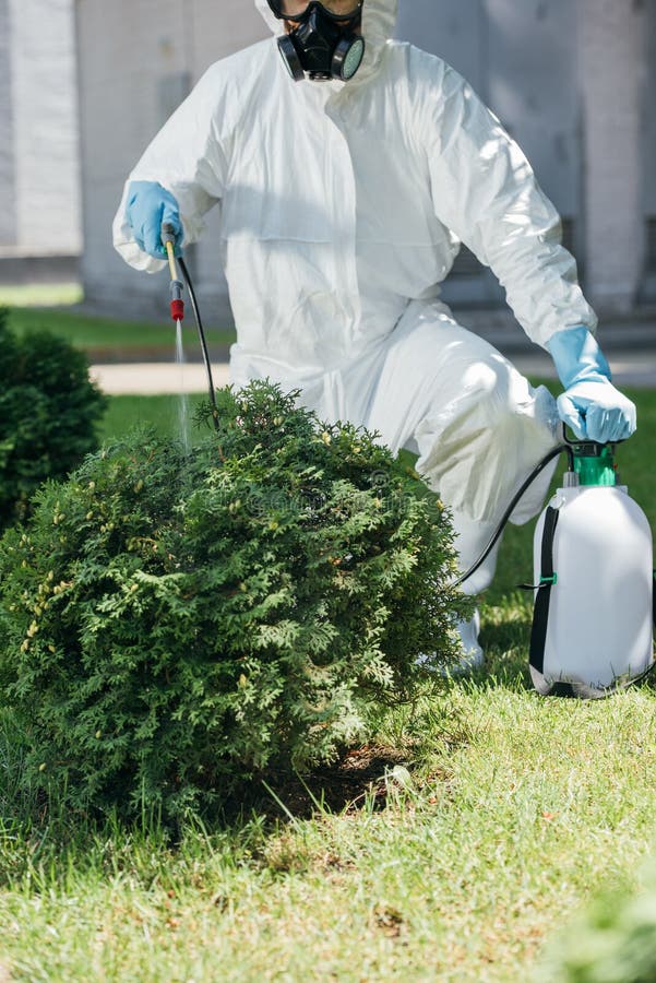 Cropped Image of Pest Control Worker Spraying Pesticides Stock Photo ...