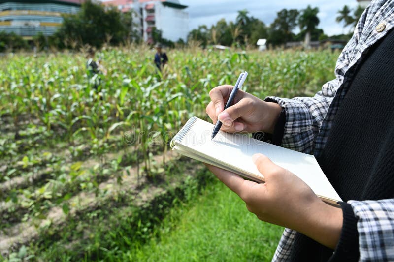 Cropped Shot of Farmer Taking Notes on a Notepad while Inspecting ...