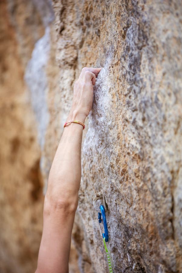 Cropped View of Climber S Hand Stock Image - Image of climber ...