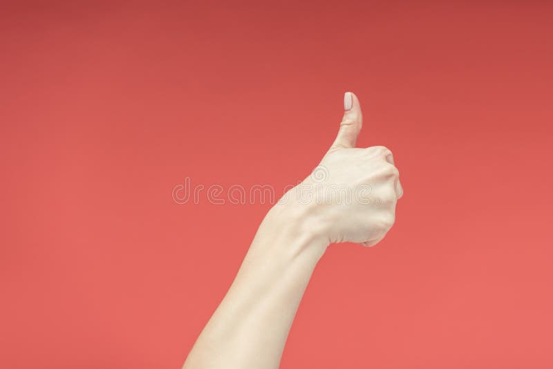 Cropped View of Female Hand with Thumb Up, Stock Image - Image of shot ...