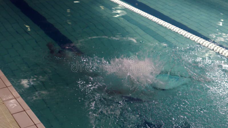 Cropped View of Swimmer Diving into Pool Stock Video - Video of dive ...