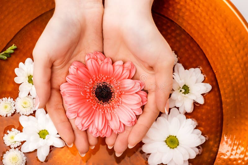 Cropped View of Woman Making Spa Bath with Flowers Stock Image - Image ...