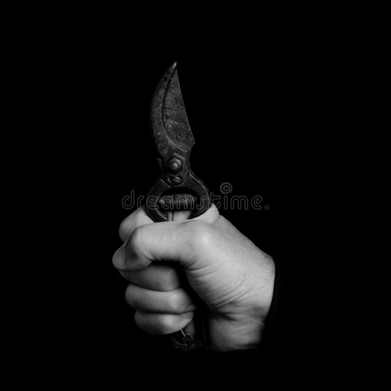 Cropper's Stock Photos - Free & Royalty-Free Stock Photos from Dreamstime