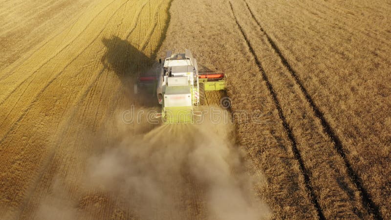 Crops are Cut and Collected from the Fields As Seen from Above Stock ...
