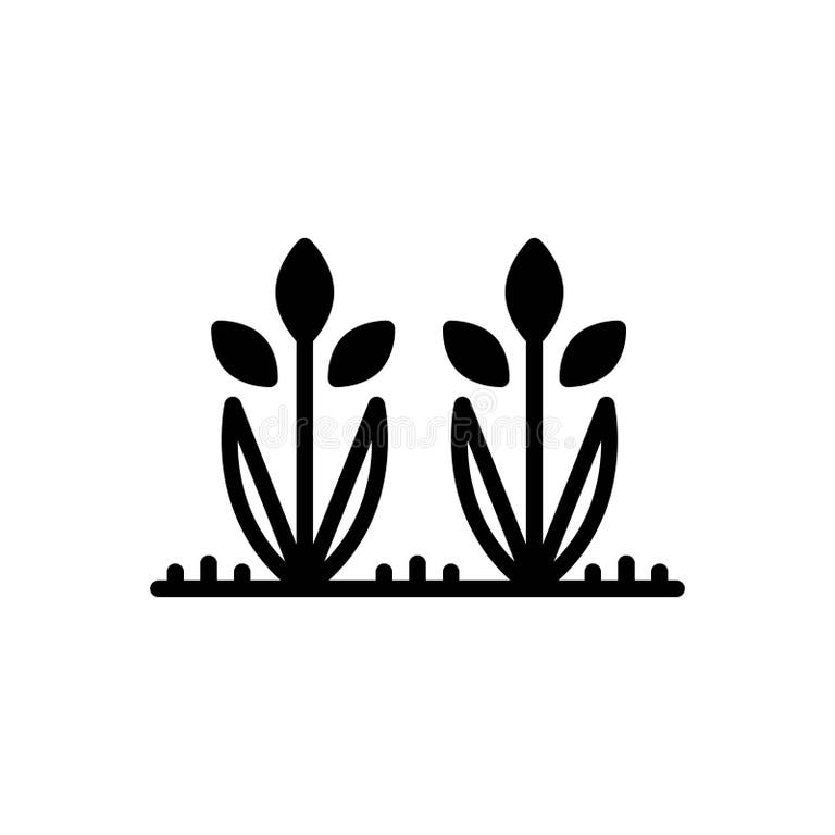 Black Solid Icon for Crops, Plant and Crop Stock Vector - Illustration ...