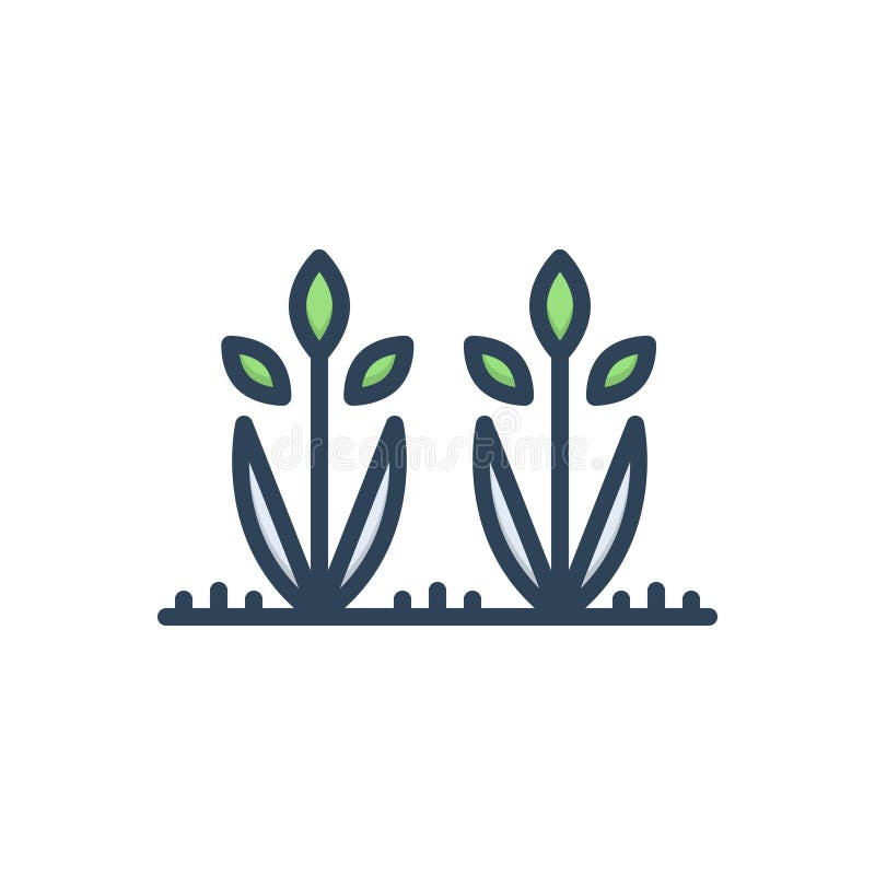 Color Illustration Icon for Crops, Plant and Crop Stock Vector ...