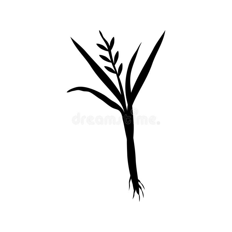 Crops Silhouette Icon Design Template Vector Isolated Stock ...