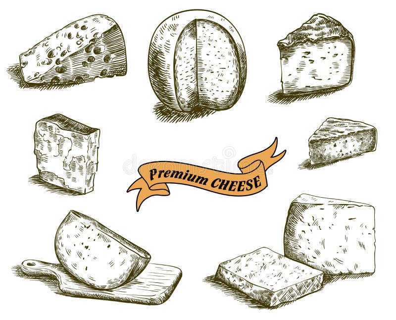Croquis Naturels De Fromage Illustration de Vecteur - Illustration du ...