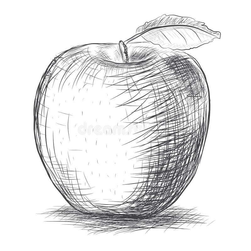 Croquis pomme illustration de vecteur. Illustration of illustration ...