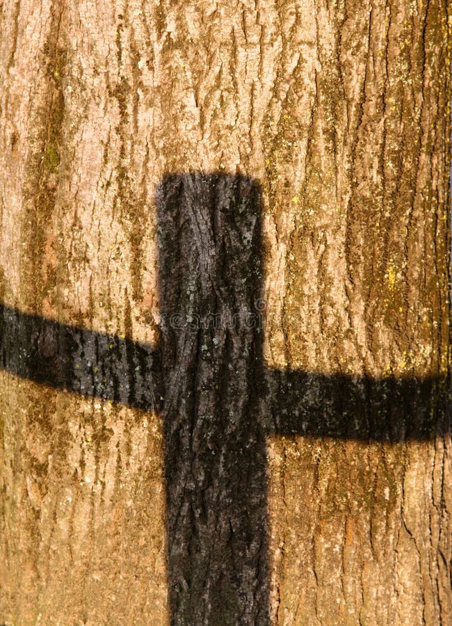 Cross Tree Reflection at Sunrise Stock Photo - Image of solitude, cross ...