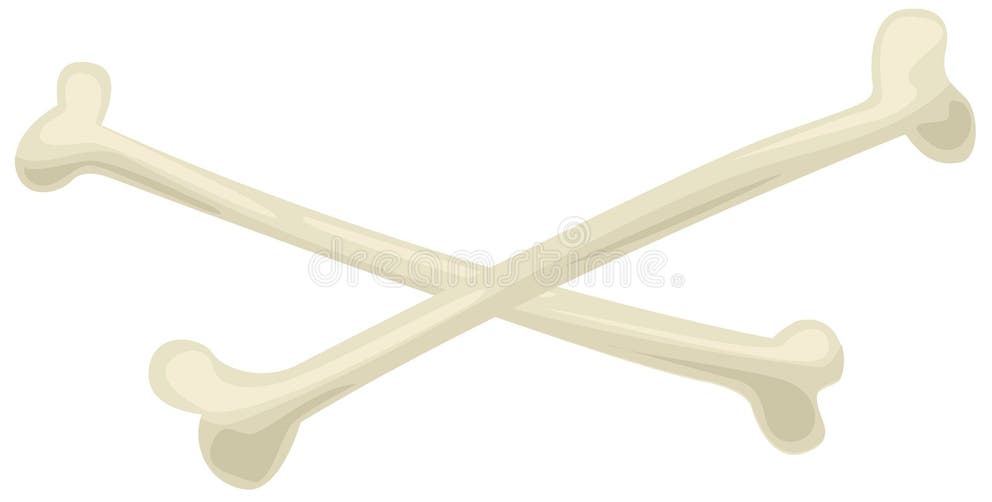 Cross Bone Stock Illustrations – 7,565 Cross Bone Stock Illustrations ...