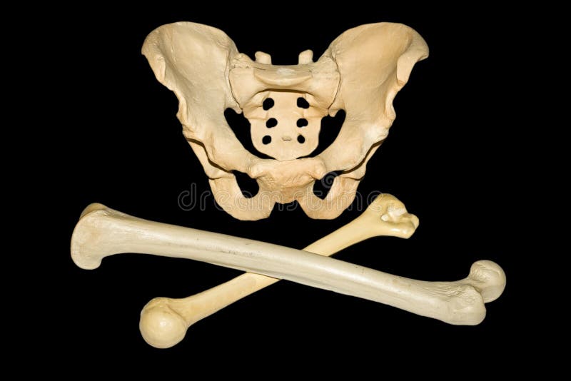 Cross-Bones stock image. Image of composition, bandana - 9340837