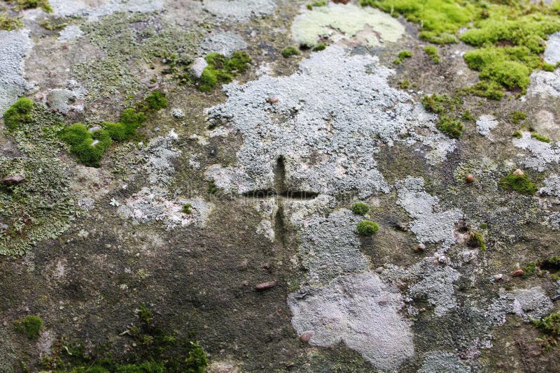Cross carved in rock stock image. Image of cross, nature - 64495045