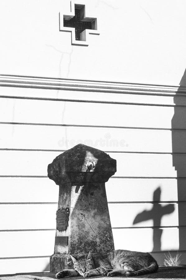 Cross cat stock image. Image of angels, pray, funeral - 52466657