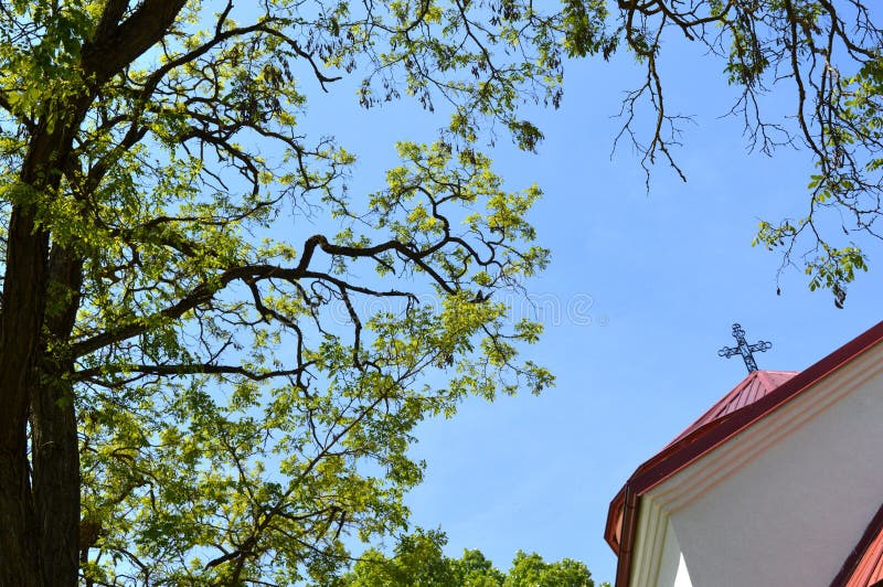 Cross of the Church Under the Big Tree Stock Image - Image of garden ...