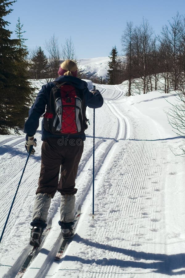 Cross country stock photo. Image of cold, classical, tourist - 221460