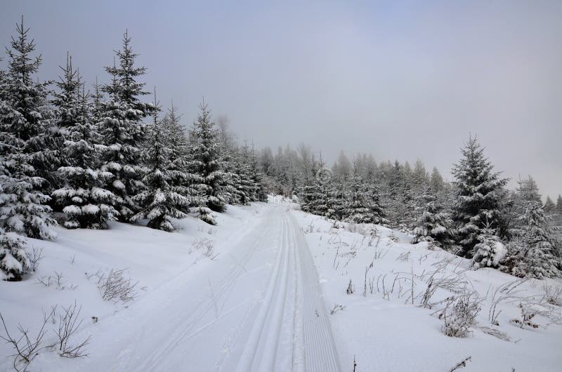 Cross country path stock image. Image of clouds, snow - 108389315