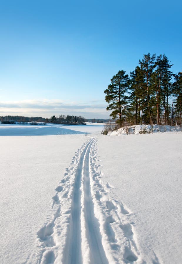 Cross country ski track stock image. Image of track, white - 22951289