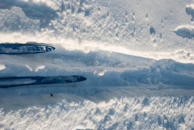 Cross country ski track stock image. Image of cross, season - 58599351