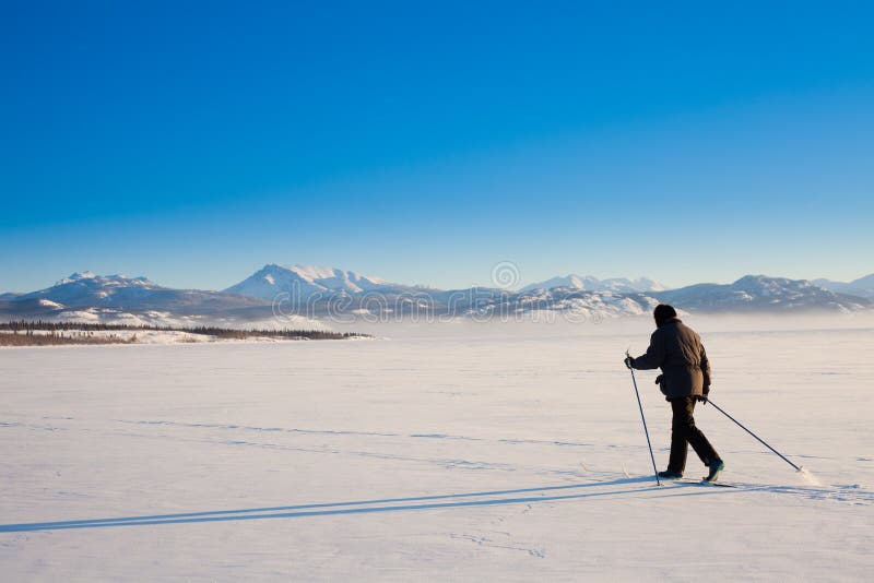 Cross-Country Skier Long Shadow Stock Image - Image of shadow ...